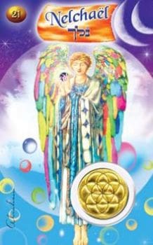 NELCHAEL – Le Portail de l'Essence-ciel