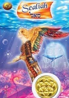 SEALIAH – Portail de l'Essence-ciel